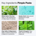 Drying Paste | Overnight Acne Spot Treatment for Breakouts – INNBEAUTY ...