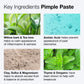 Drying Paste | Overnight Acne Spot Treatment for Breakouts – INNBEAUTY ...