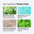 Pimple Paste – INNBEAUTY PROJECT