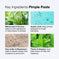 Pimple Paste | Overnight Spot Treatment for Breakouts – INNBEAUTY PROJECT